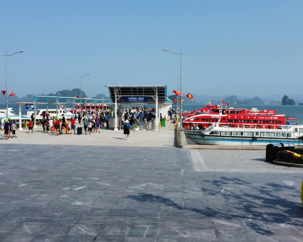 The Ao Tien International Port Unveils the Sea and Island Region of ...